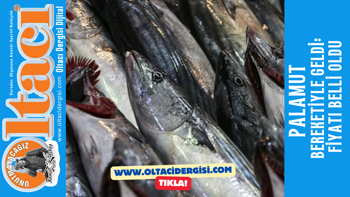 Palamut Bereketiyle Geldi: Fiyatı Belli Oldu - Oltacı Dergisi