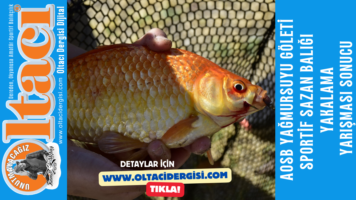 AOSB YAĞMURSUYU GÖLETİ SPORTİF SAZAN BALIĞI YAKALAMA YARIŞMASI SONUCU ...