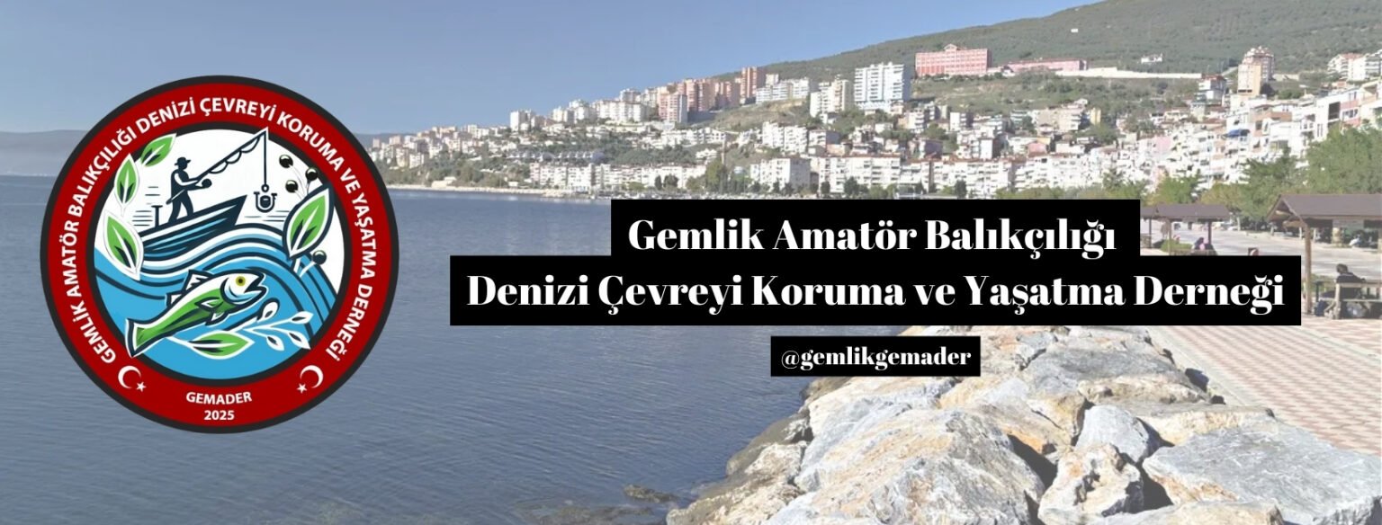 GEMLİK AMATÖR BALIKÇILIĞI, DENİZİ, ÇEVREYİ KORUMA VE YAŞATMA DERNEĞİ ...